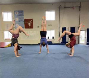 Adult Gymnastics - IGN