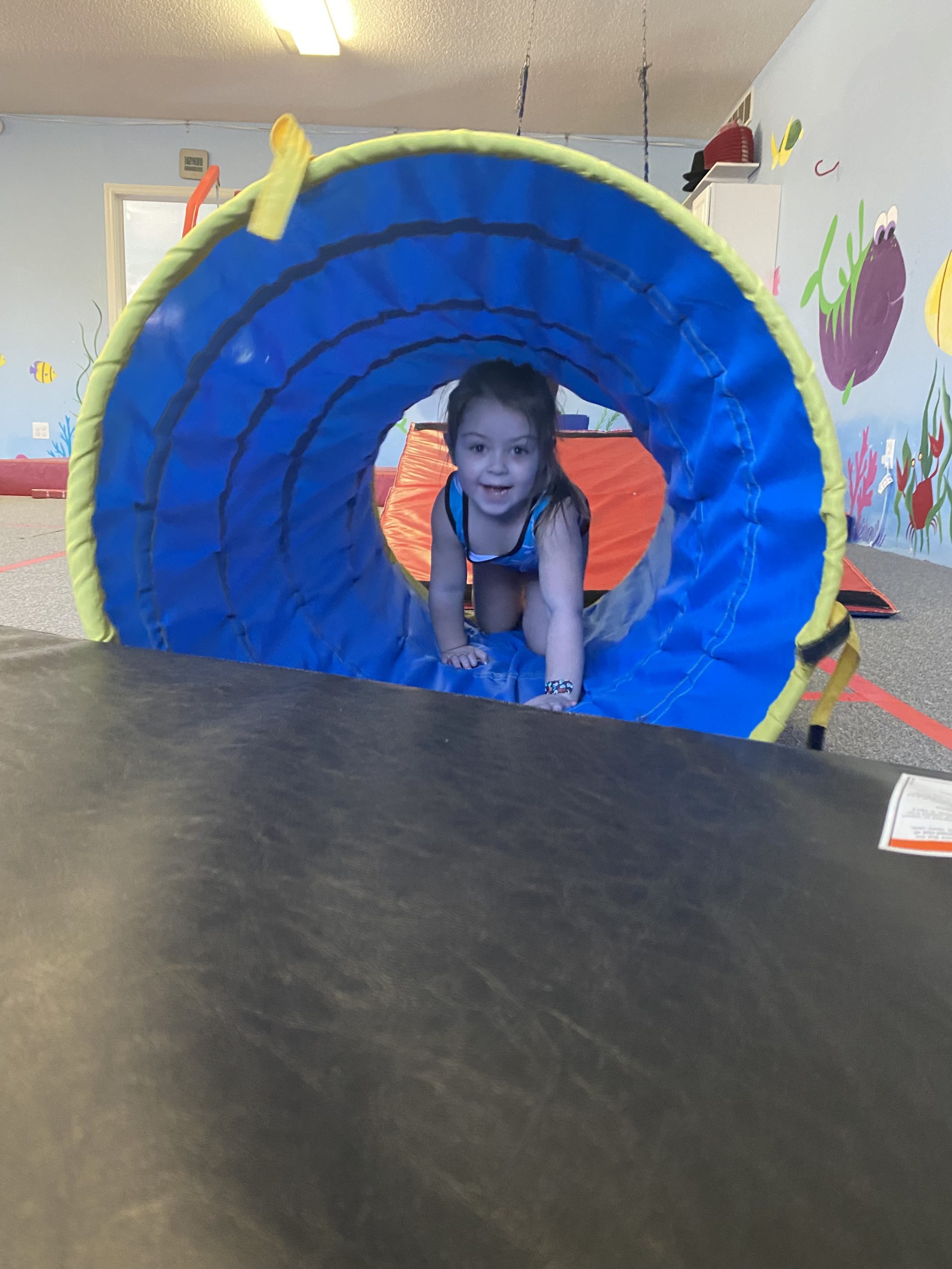 Programs Archive - IGN